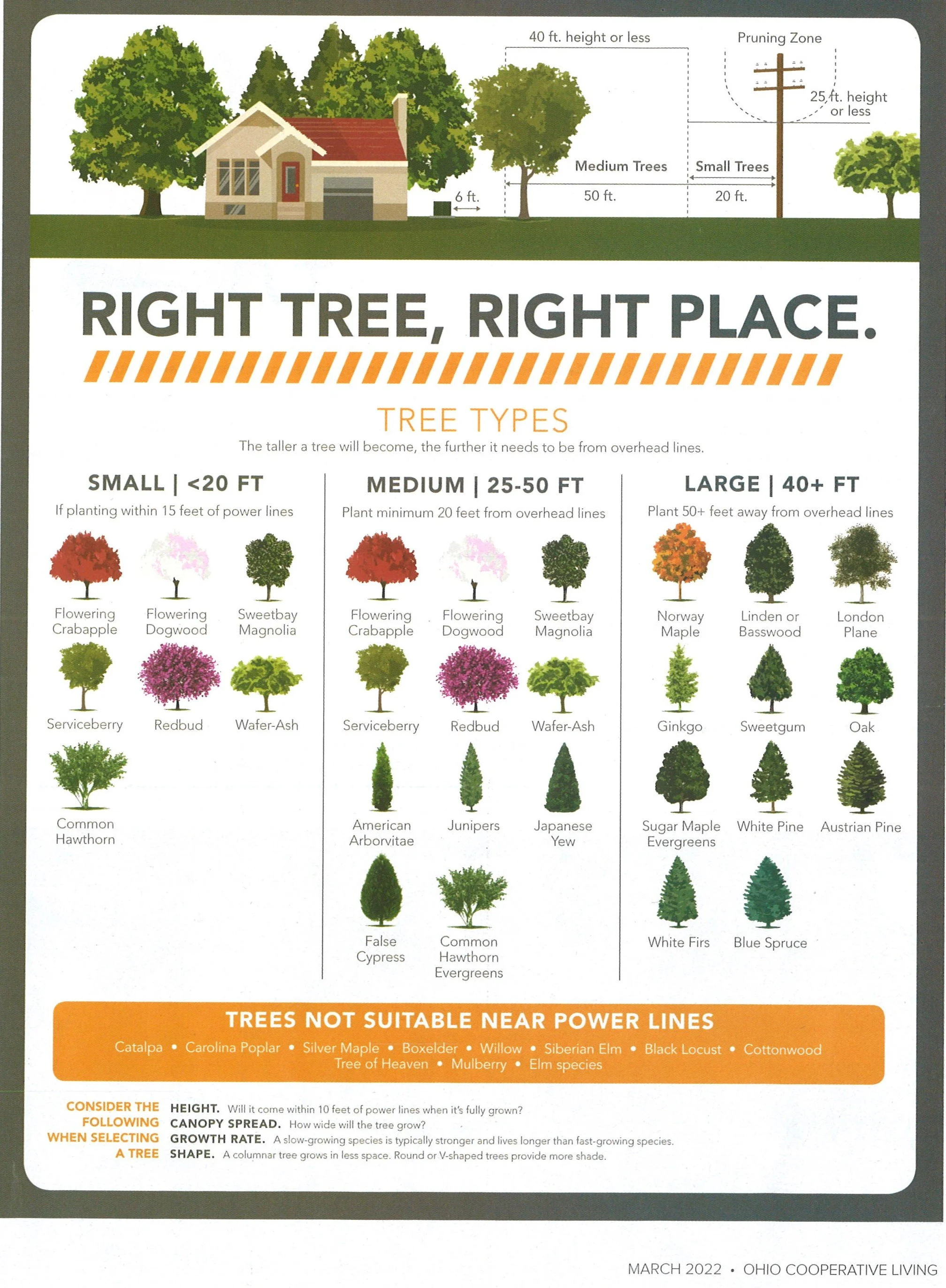 Right Tree Right Place — Holmes Soil & Water Conservation District