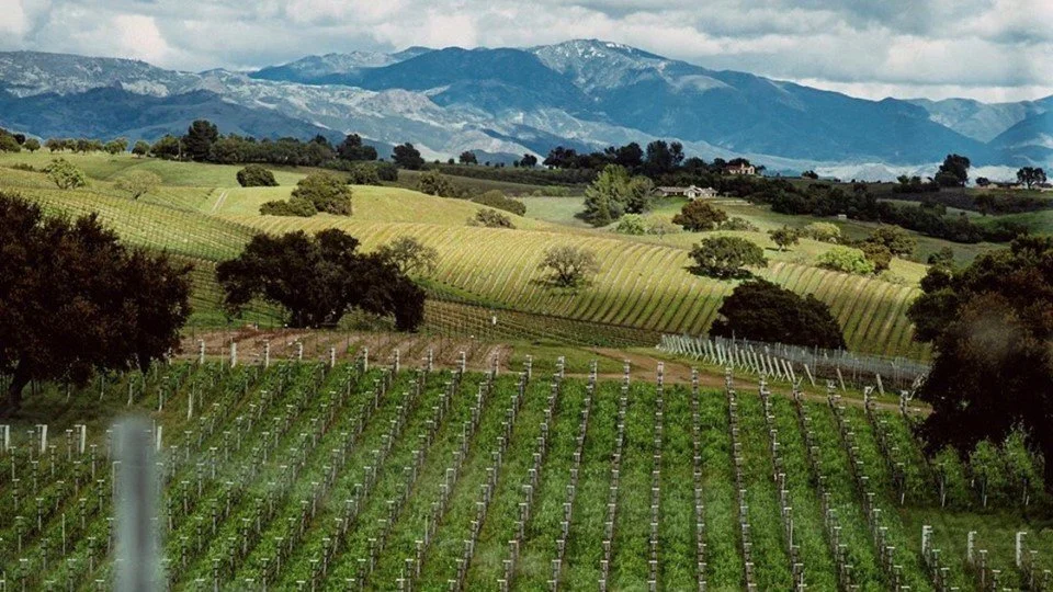 JONATA - The Hilt Estate Wine Dinner at The Restaurant at 1900 — 1900 ...