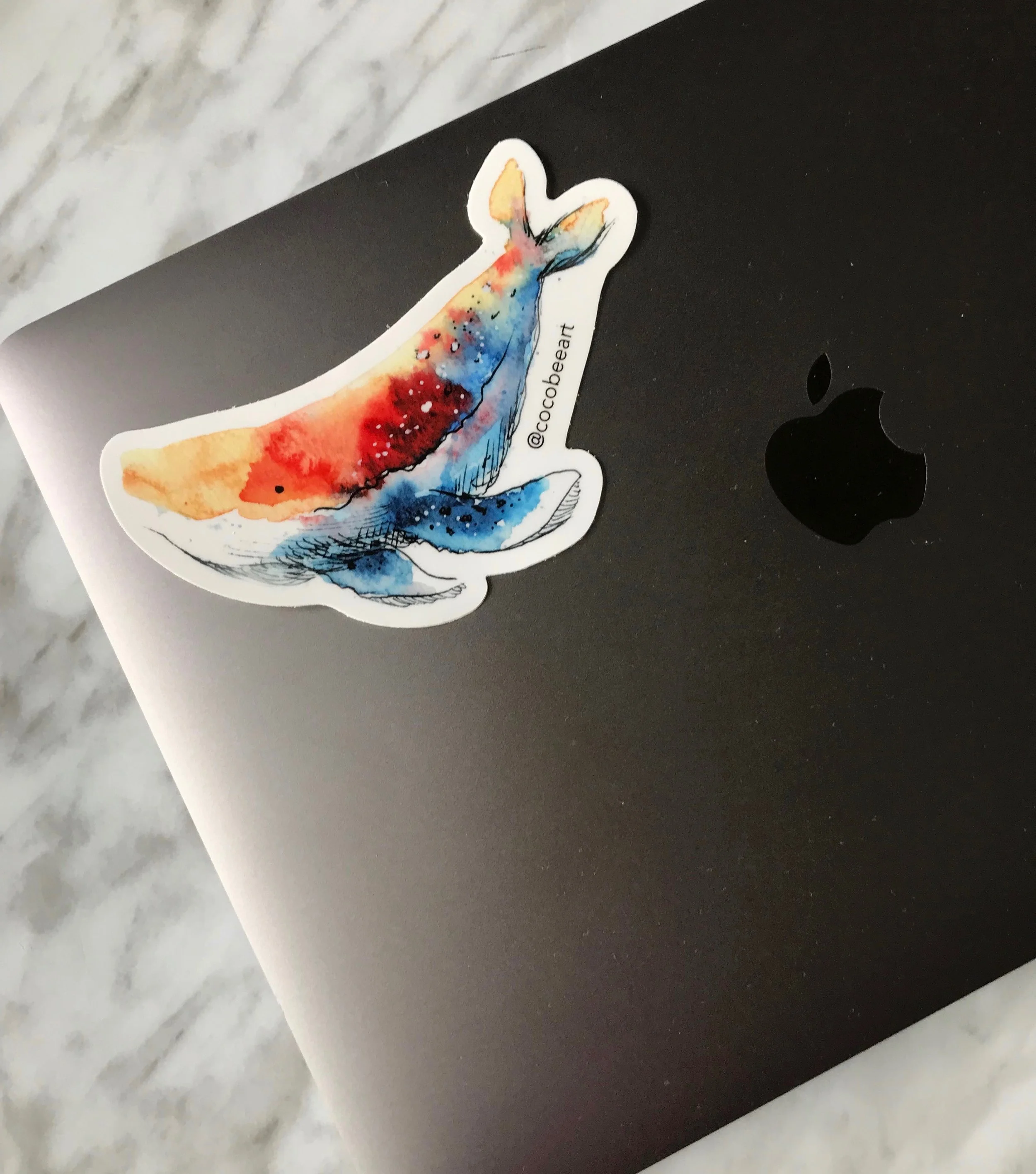 BIG Rainbow Whale Vinyl Sticker — Coco Bee