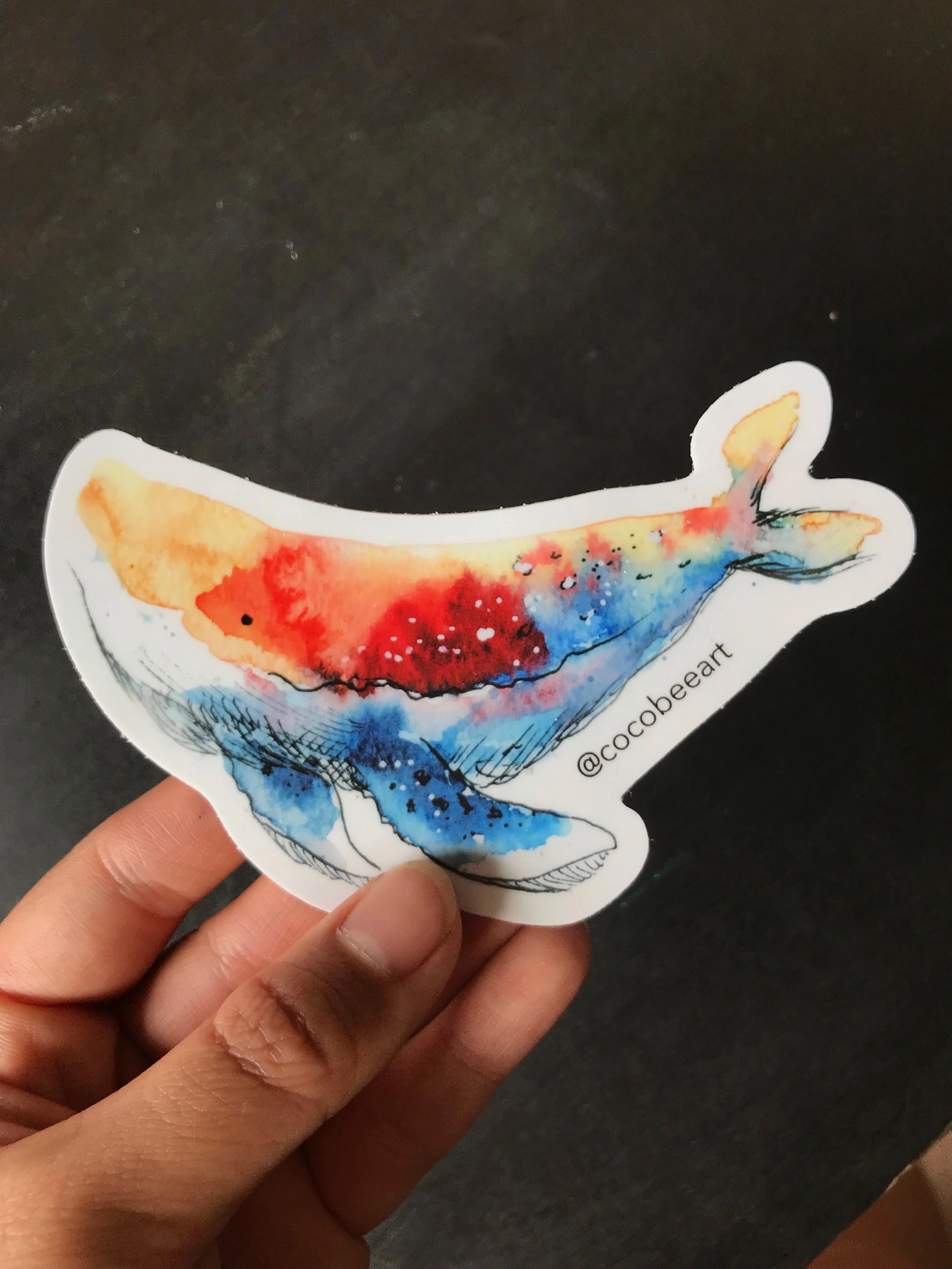 BIG Rainbow Whale Vinyl Sticker — Coco Bee