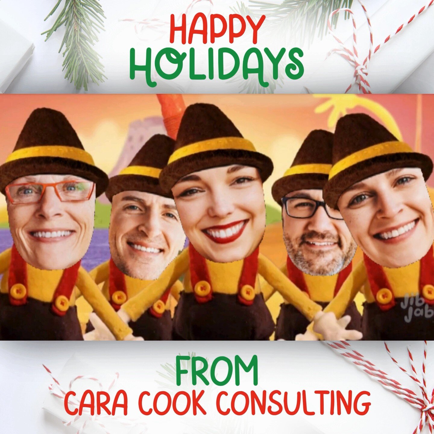 Cara Cook Consulting