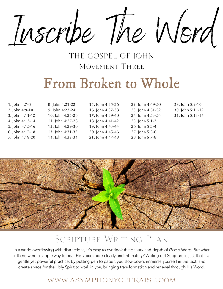 The Gospel of John: From Broken to Whole. — Inscribe the Word