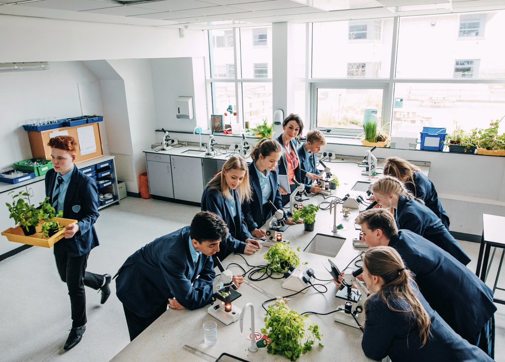 The Career Education Council
