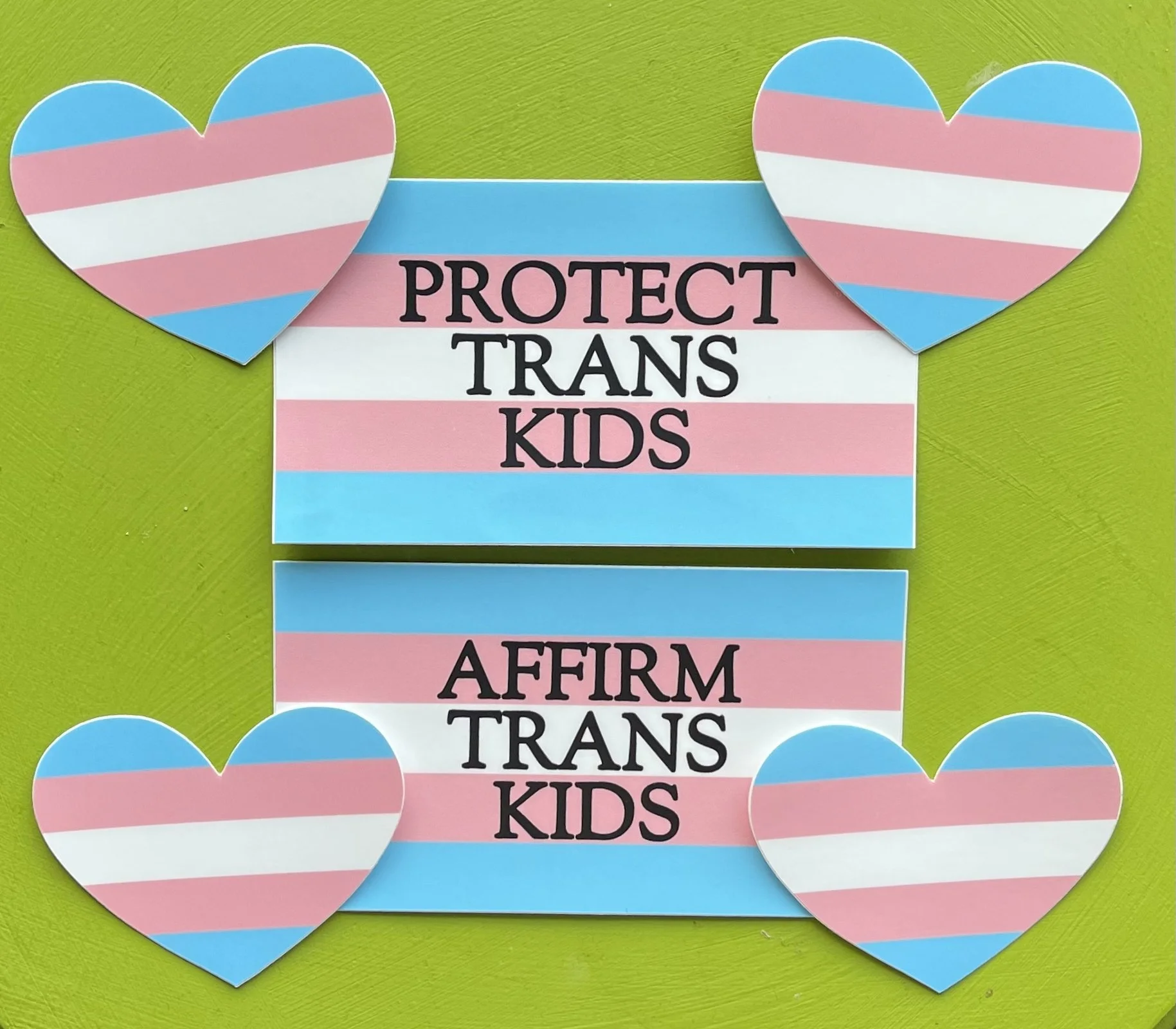protect-trans-kids-affirm-trans-kids — Gender Inclusive Schools