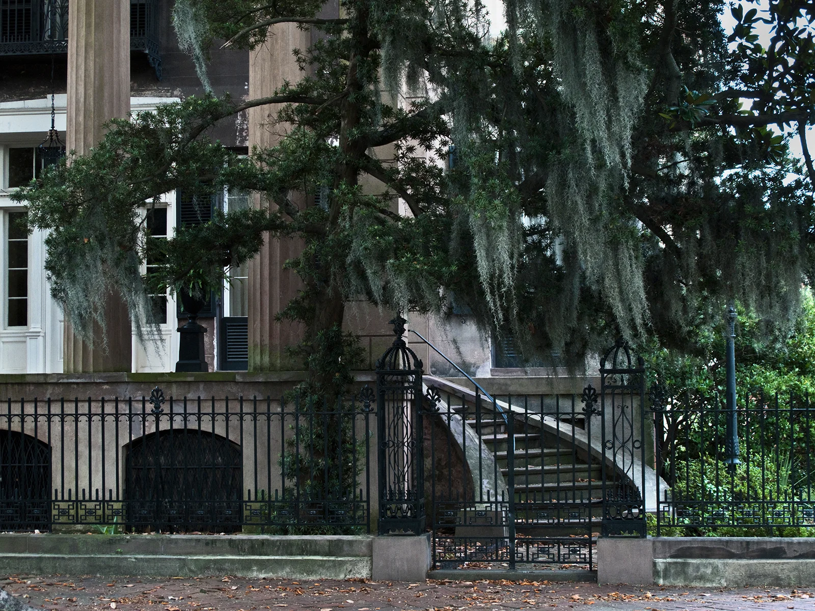 Evidence — Angela Strassheim