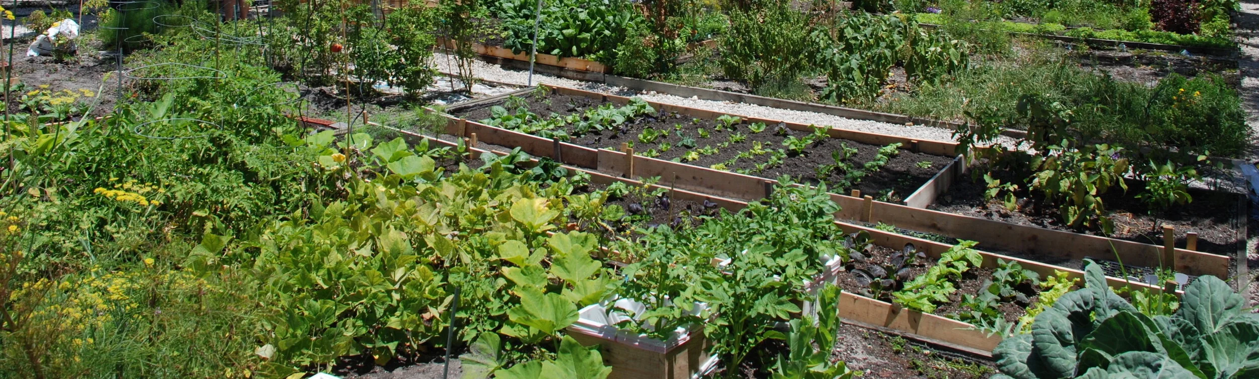 Community Garden — North Haven Community