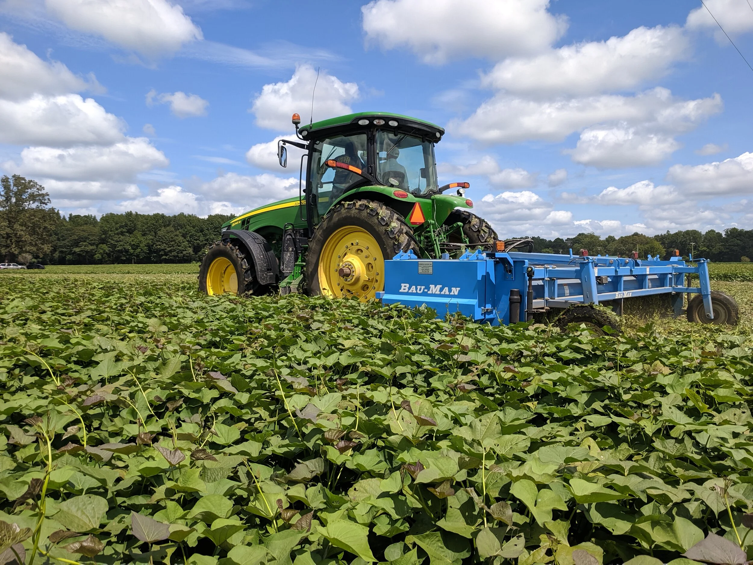 Sweet Potato Equipment & Parts — Farmers Harvest Inc.