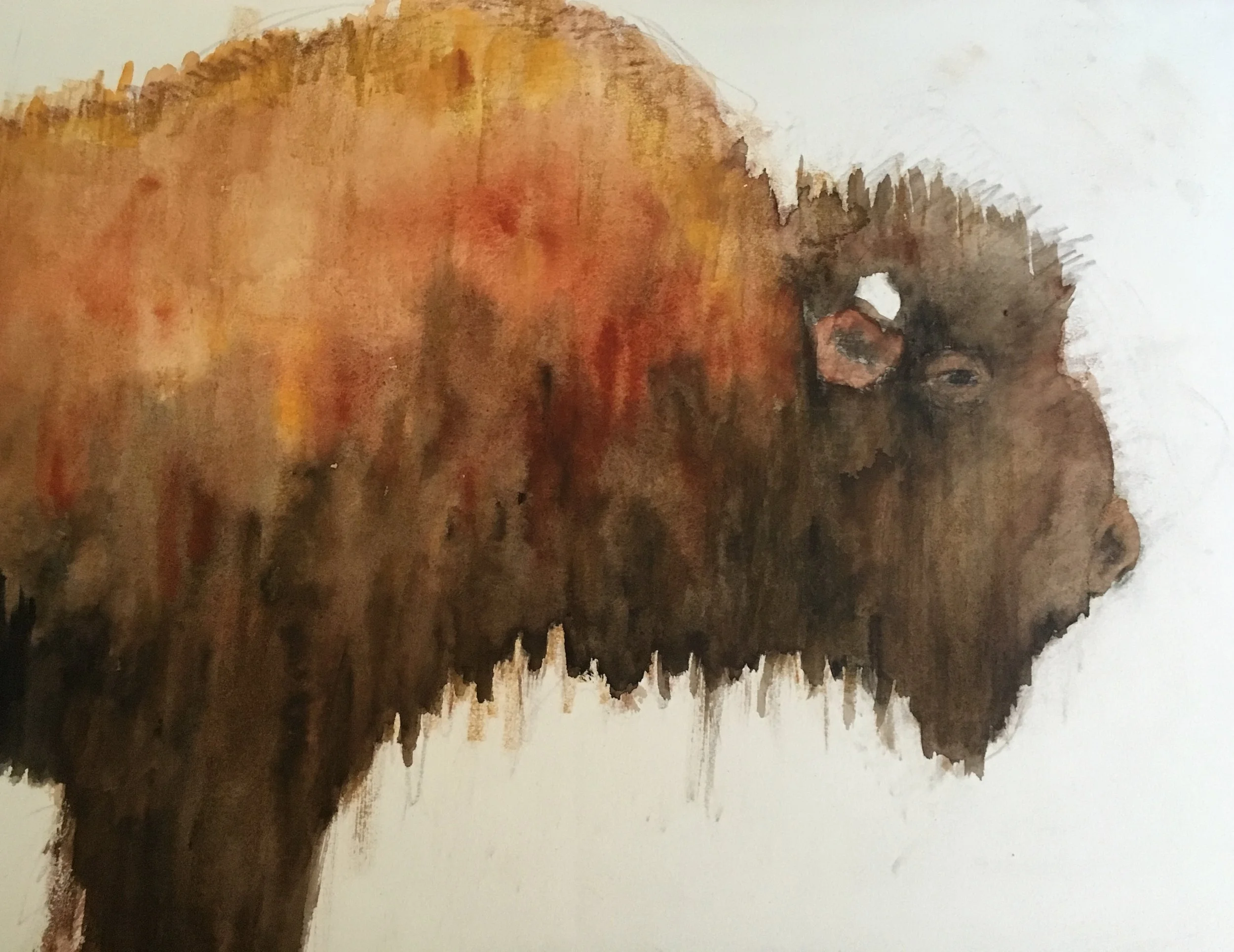 %C - JEANNE F GOODMAN ART