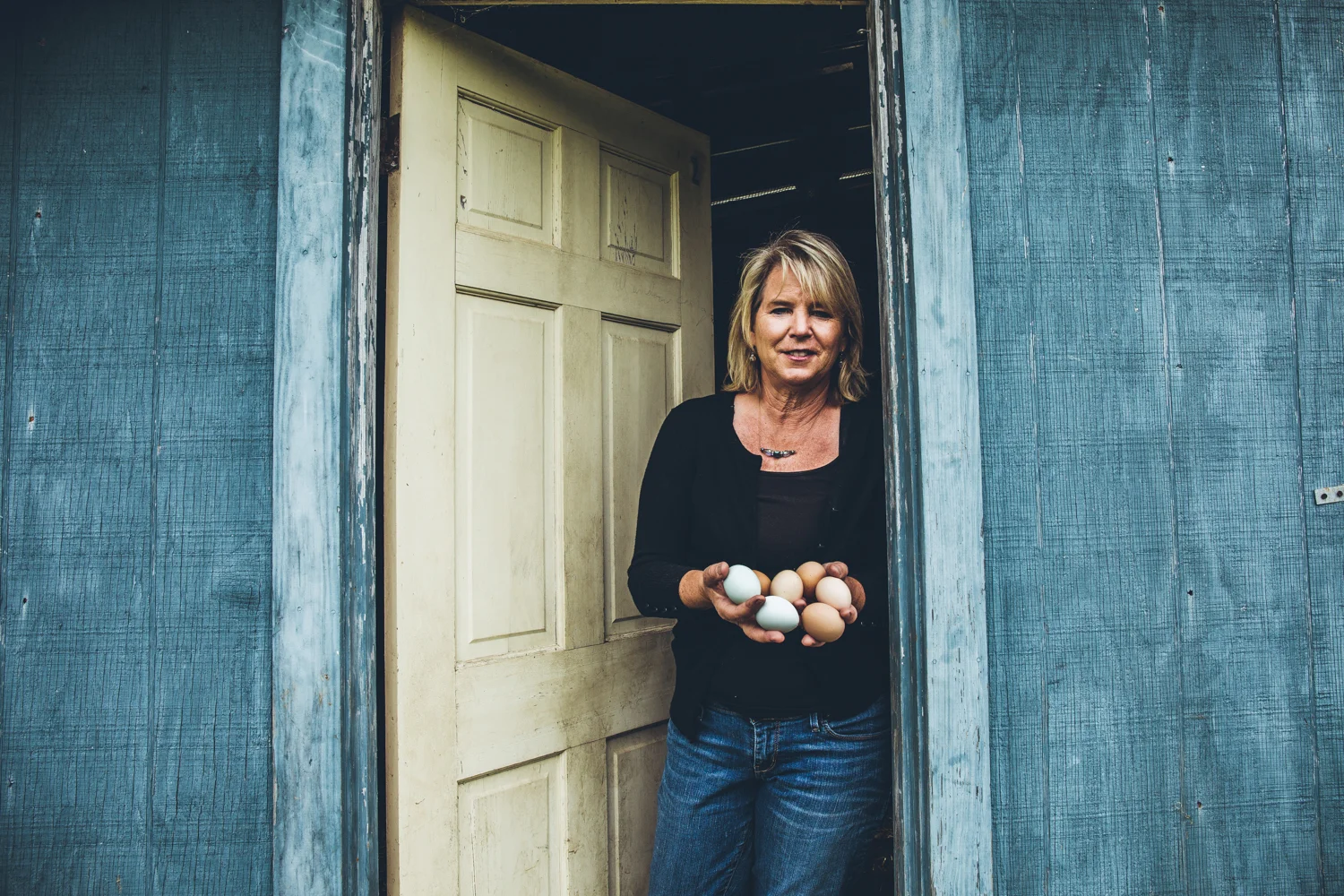 Judy Schenk — Firepond Press