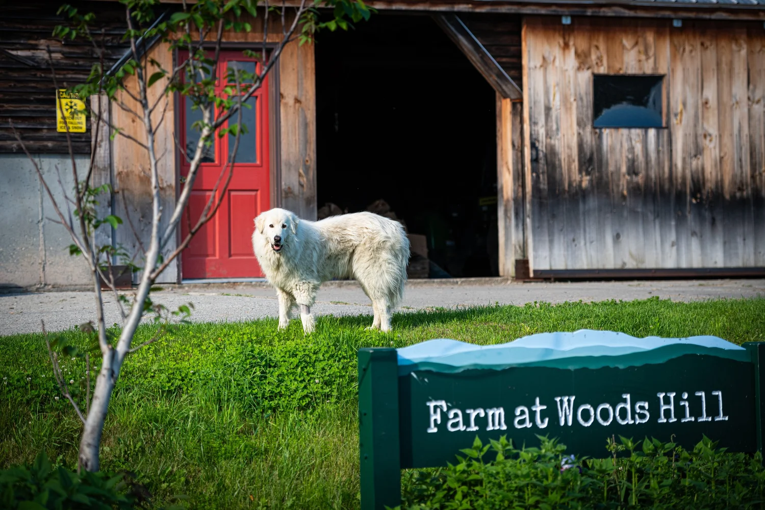 Our Story — Woods Hill Table