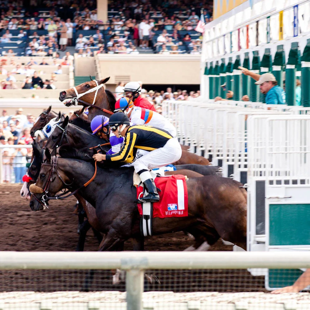 James Erin de Jauregui