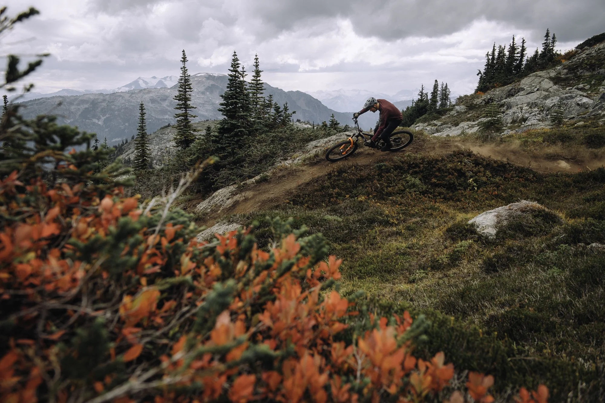 AlpX Opens New Storefront at Carleton Lodge for Summer Alpine ...