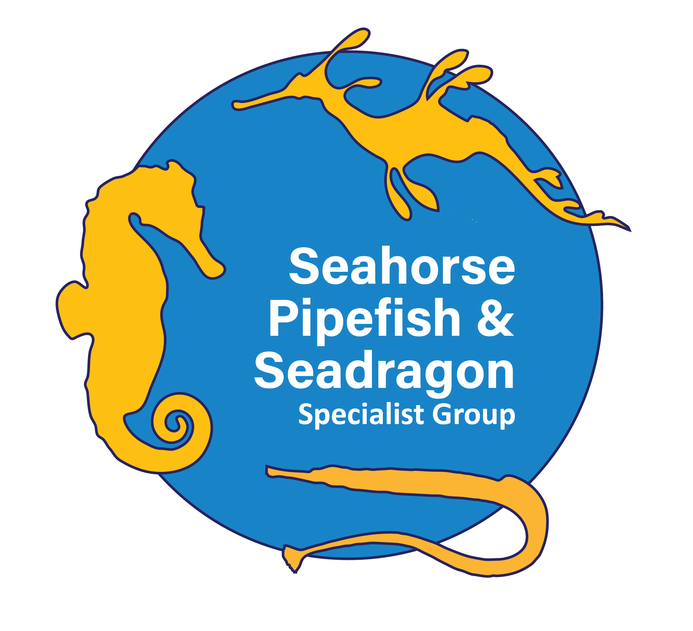 Ghost pipefishes — IUCN Seahorse, Pipefish & Seadragon