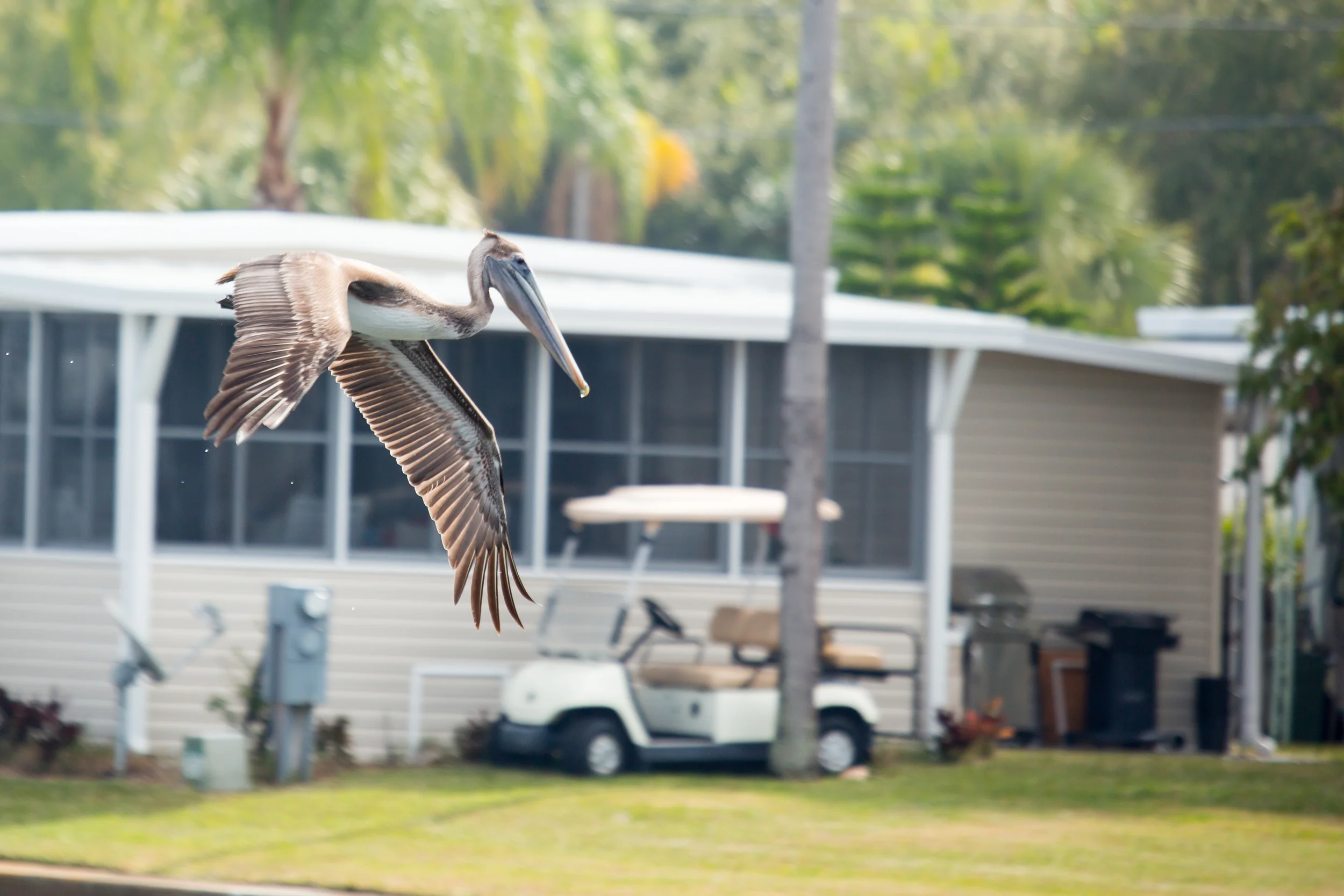 Tampa — Gord's Travelblog