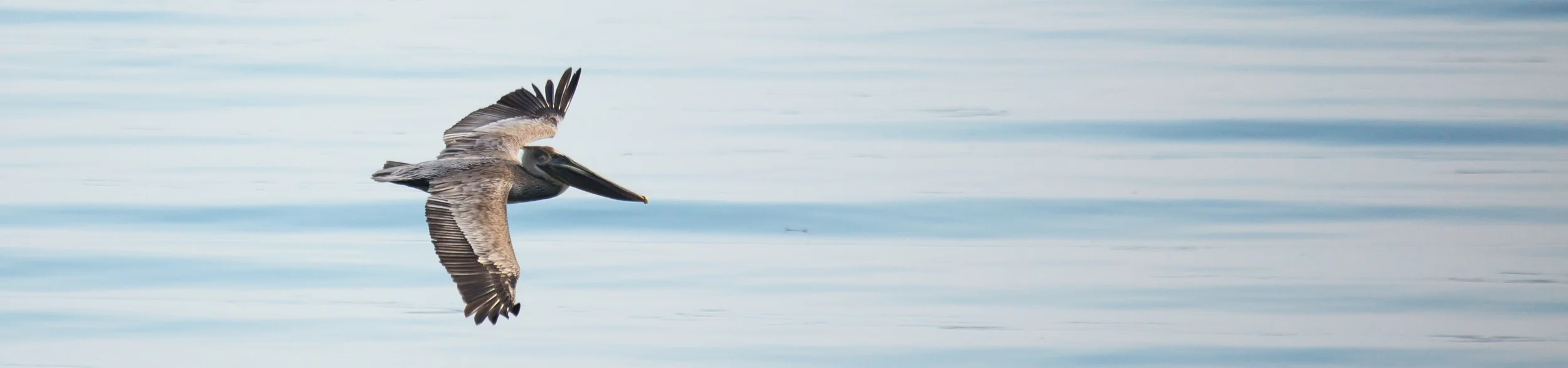 Tampa — Gord's Travelblog