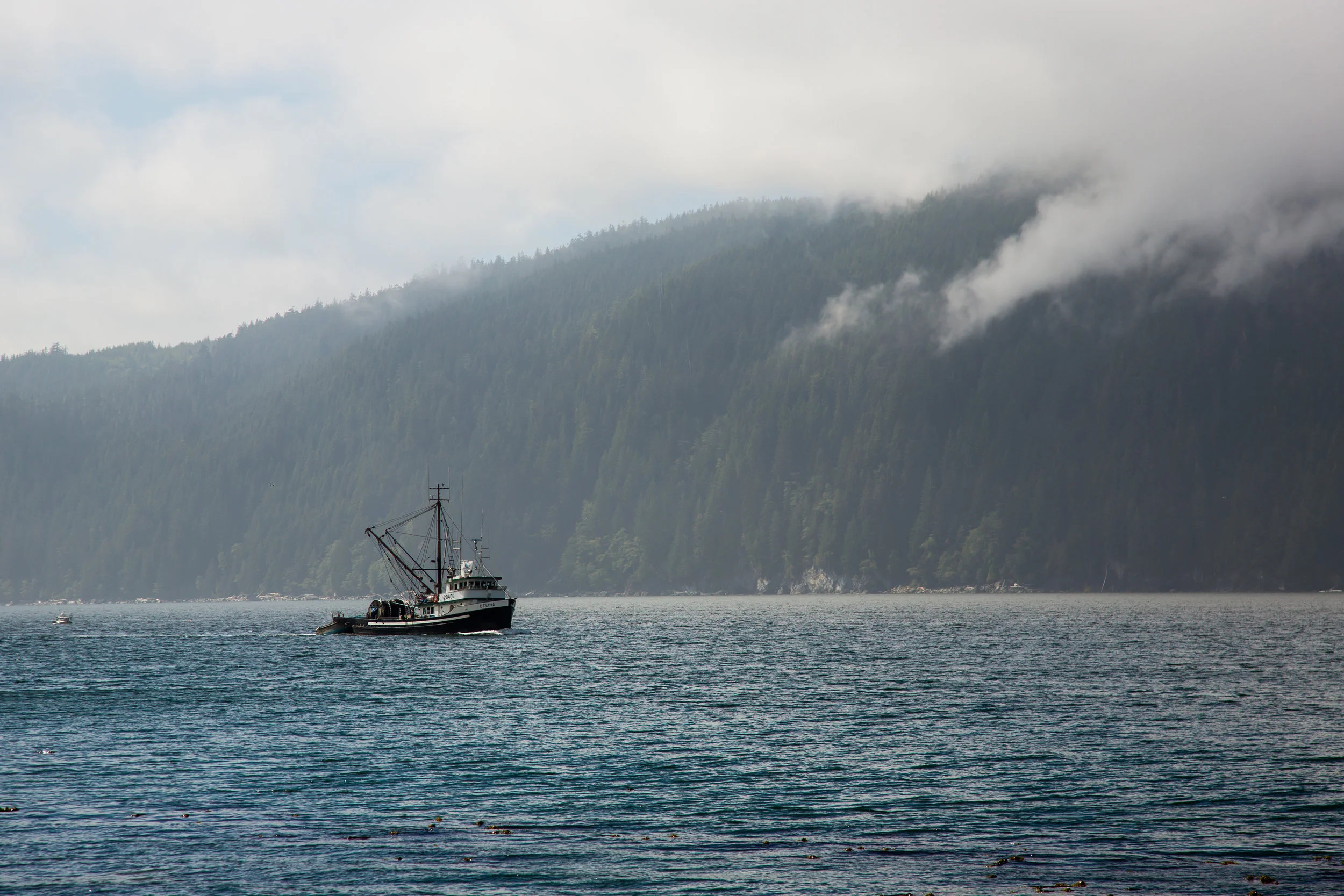 Vancouver Island — Gord's Travelblog