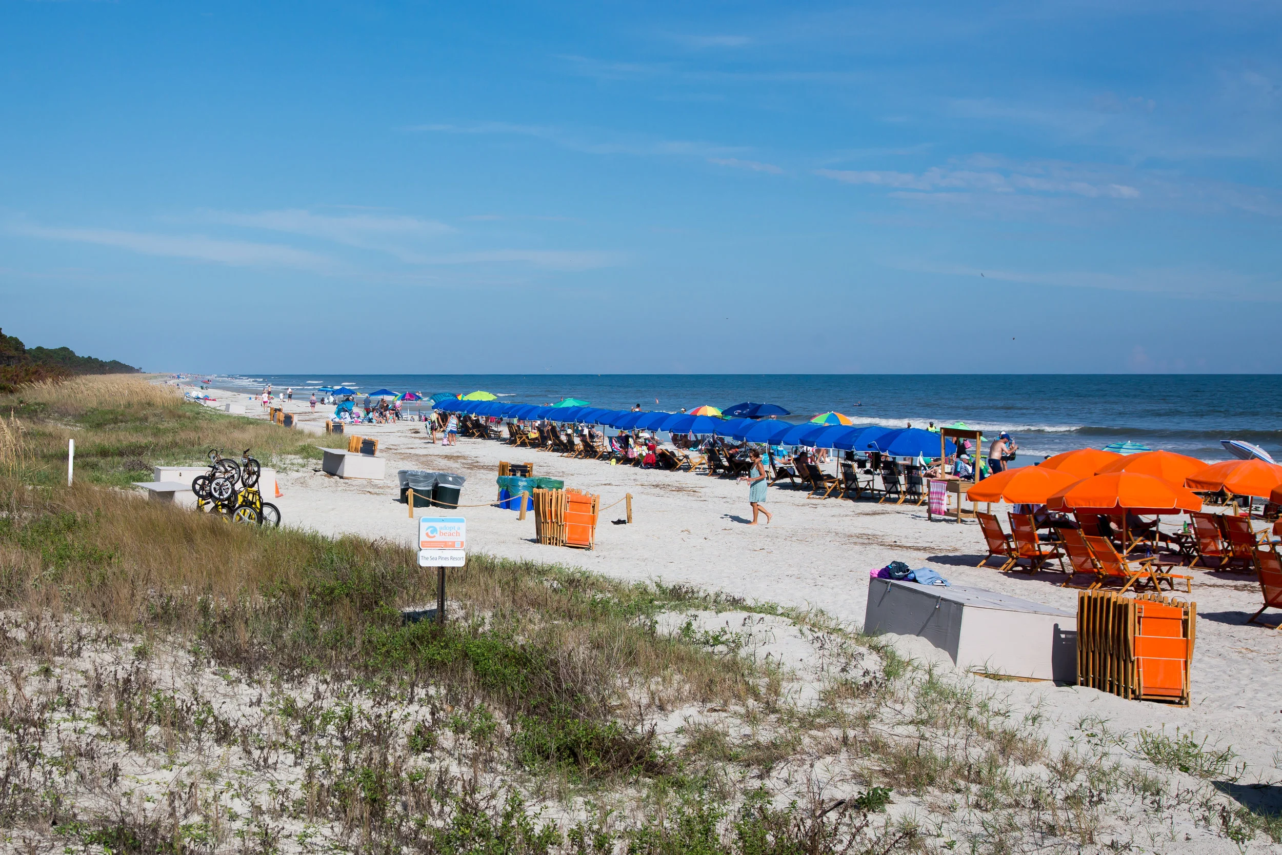 Savannah — Gord's Travelblog