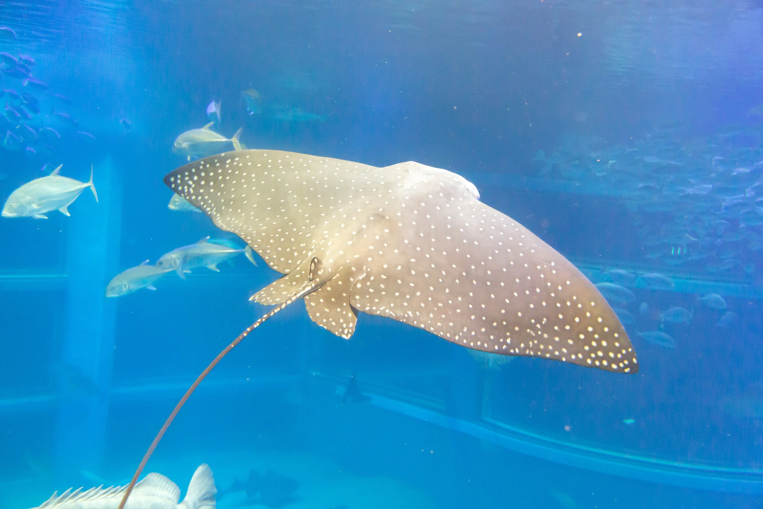 Japan — Gord's Travelblog