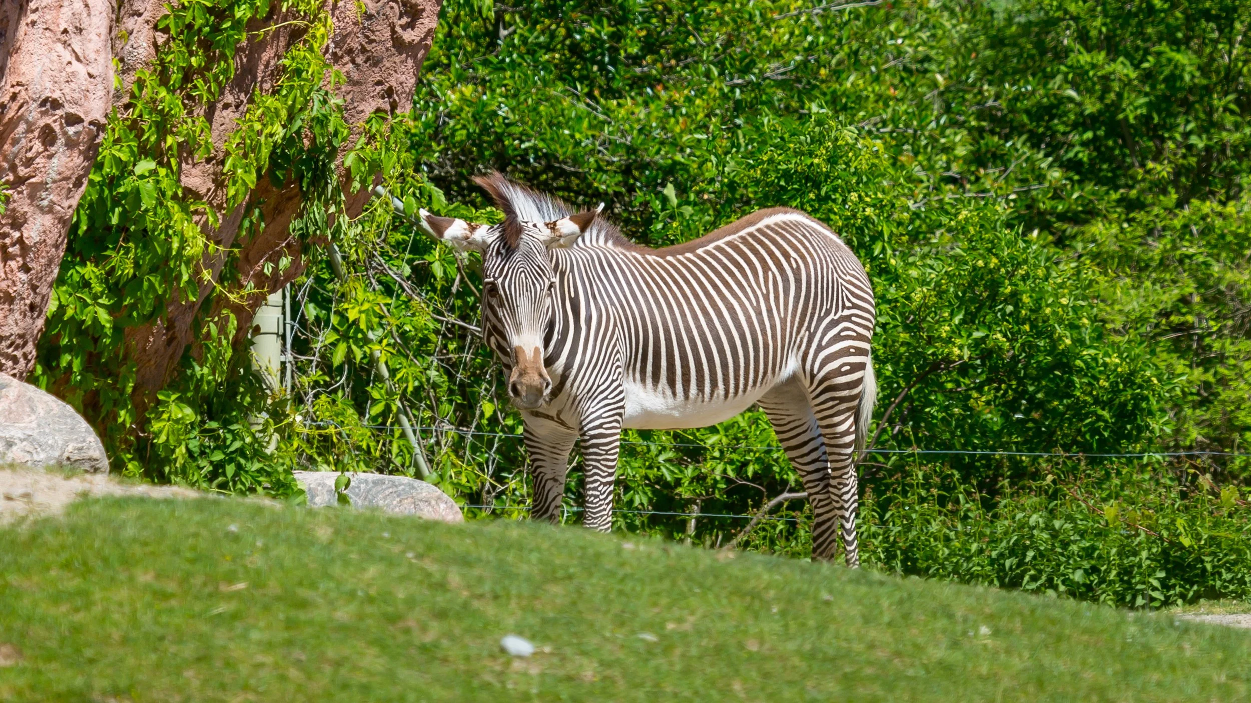 Around Toronto - Toronto Zoo — Gord's Travelblog