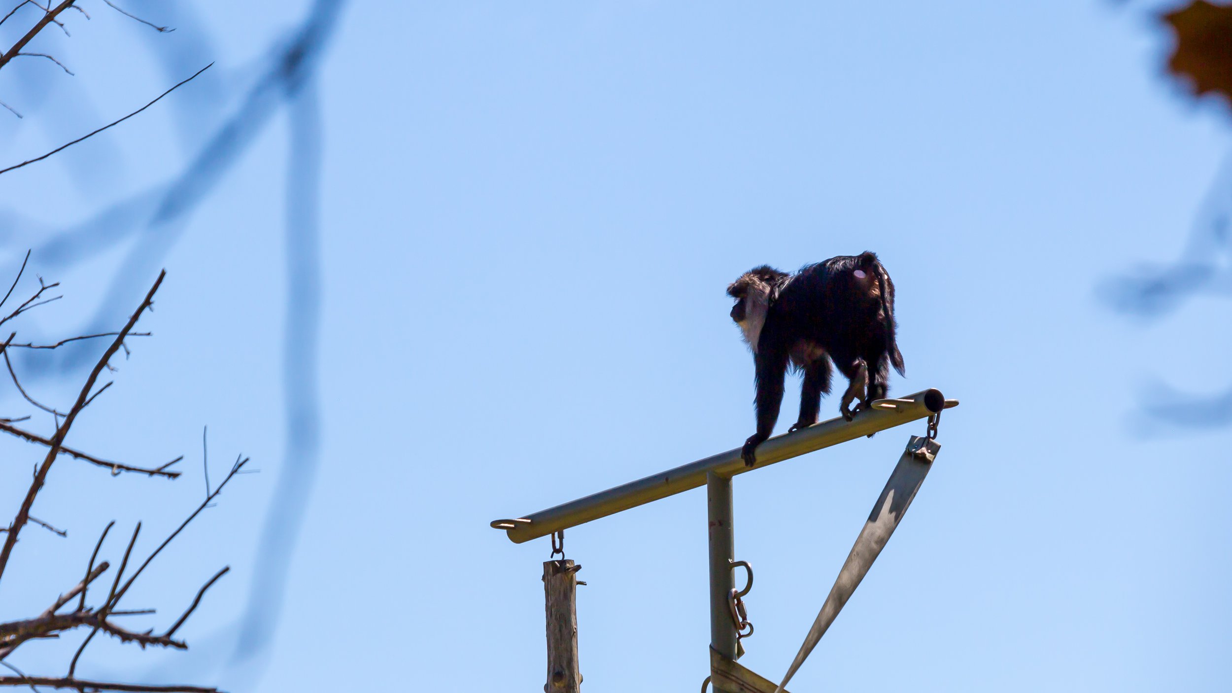 Around Toronto - Toronto Zoo — Gord's Travelblog