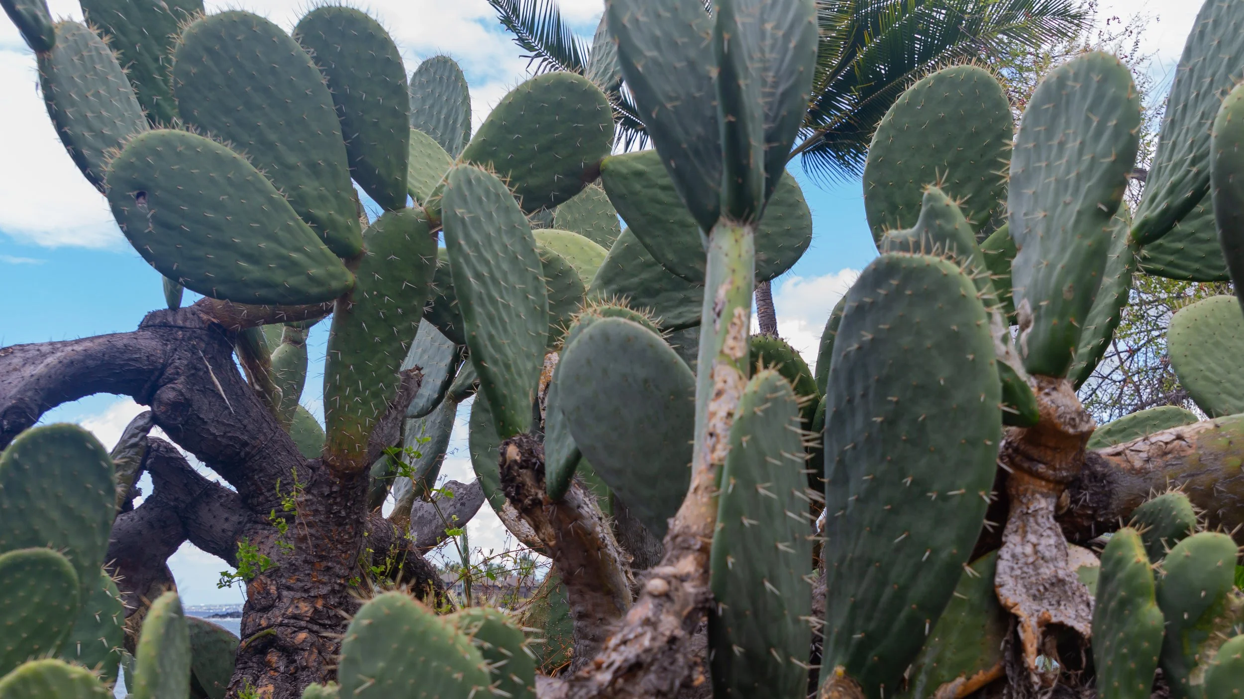 Hawaii — Gord's Travelblog