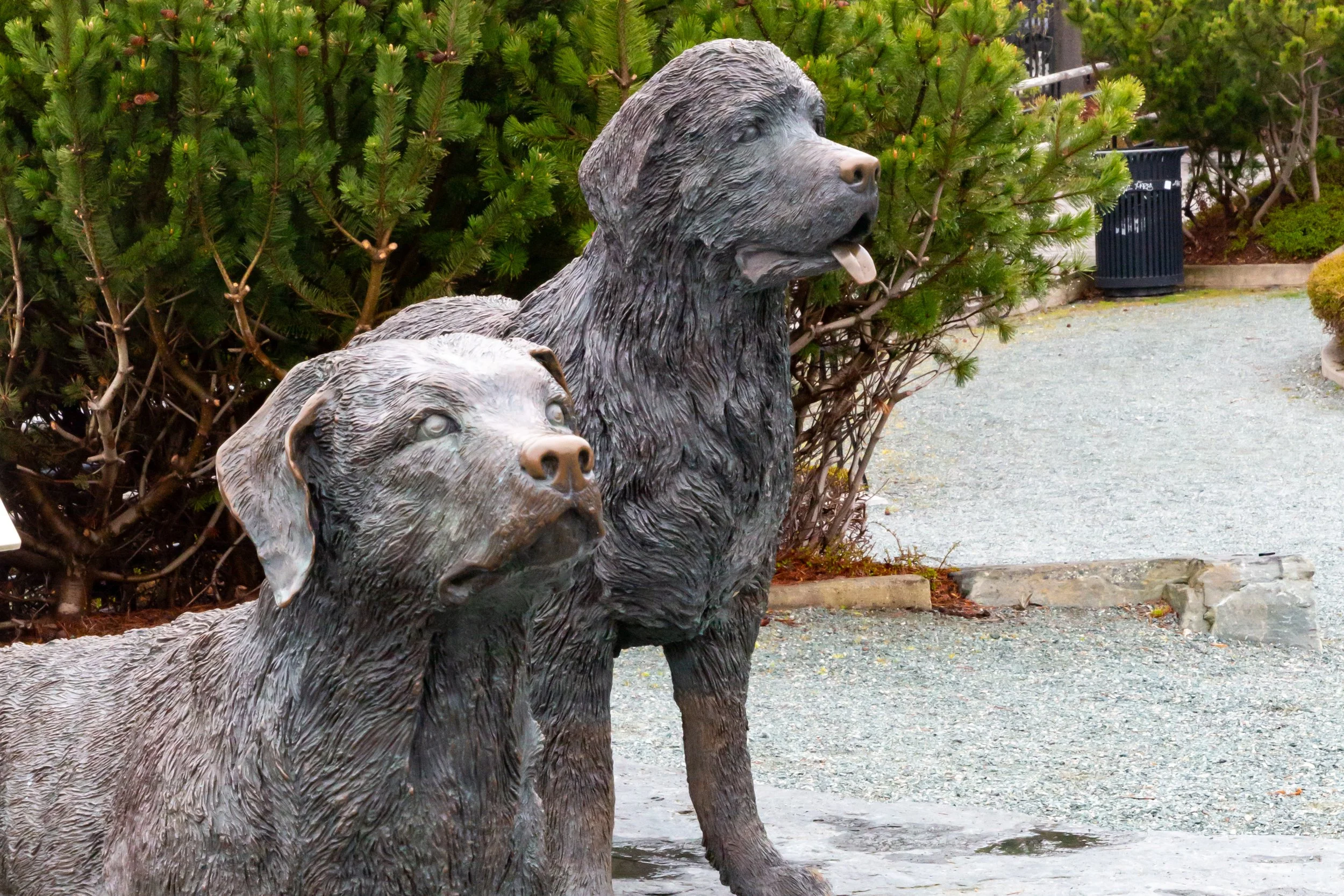Newfoundland — Gord's Travelblog
