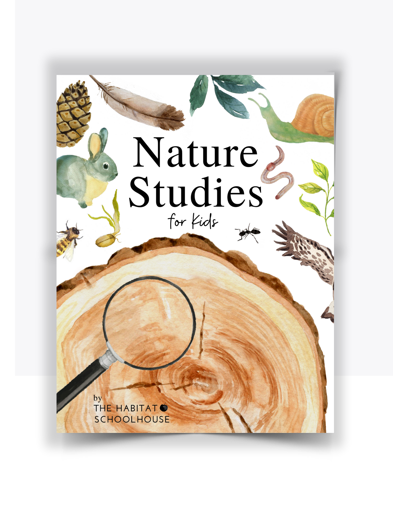 Workbooks & Unit Studies — Habitat Schoolhouse