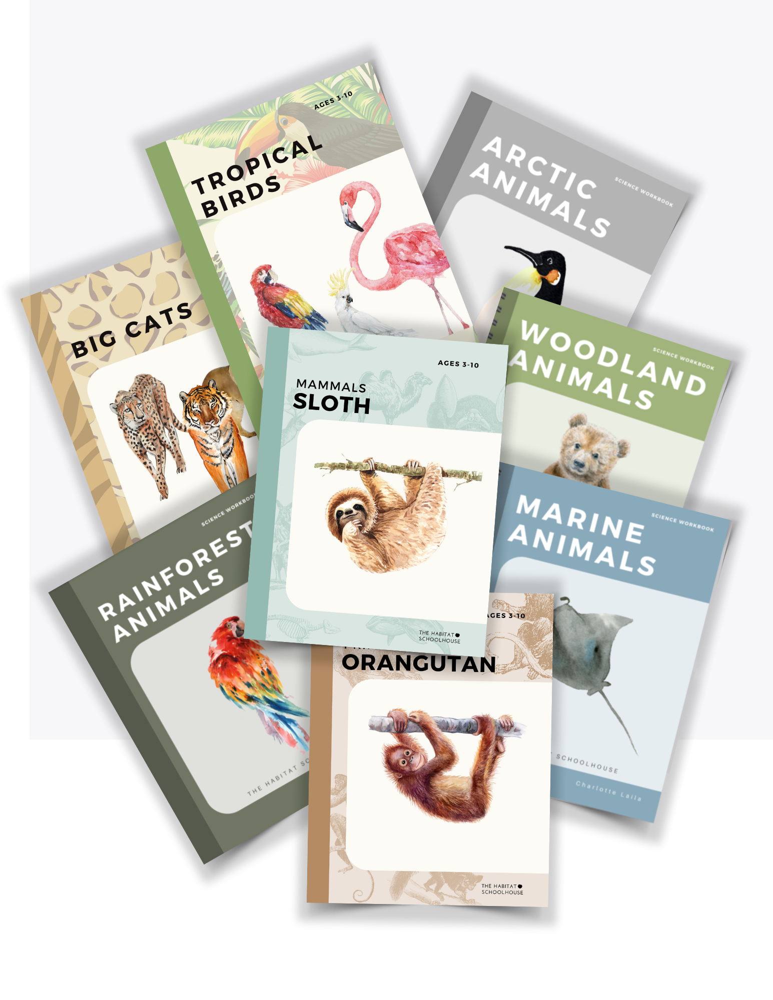 Workbooks & Unit Studies — Habitat Schoolhouse