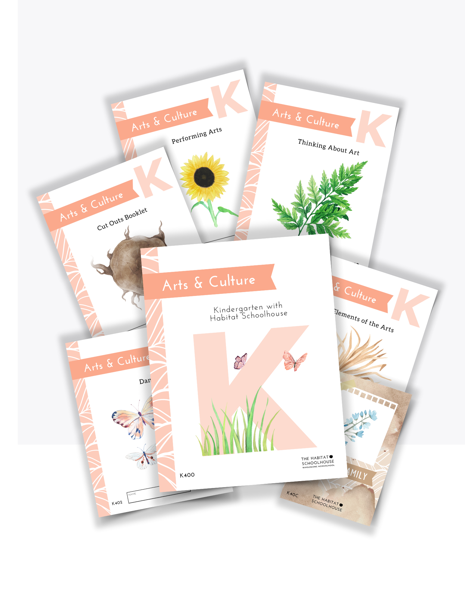 Grade 1 Health Wellness Print At Home Pdf Habitat Schoolhouse