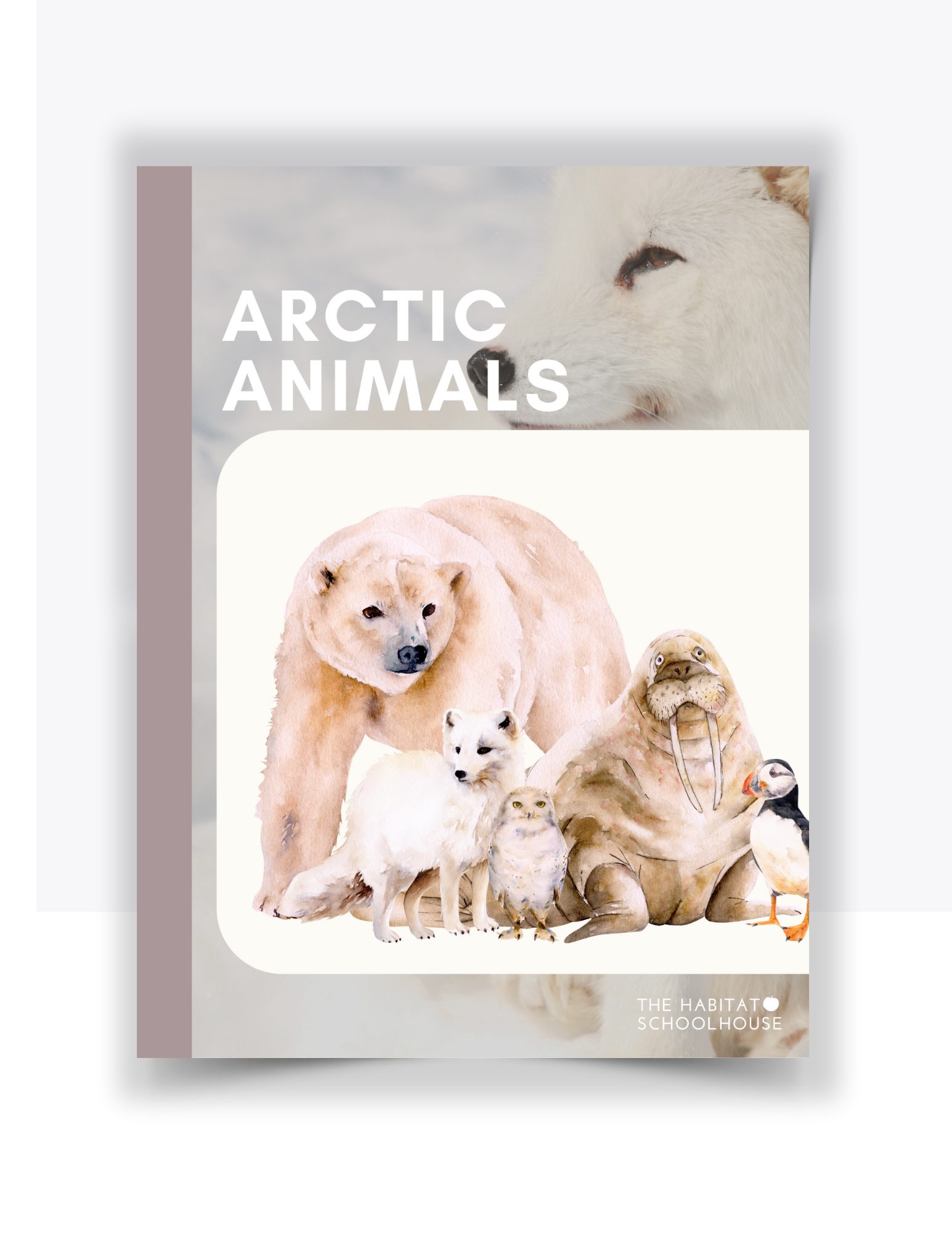 Workbooks & Unit Studies — Habitat Schoolhouse