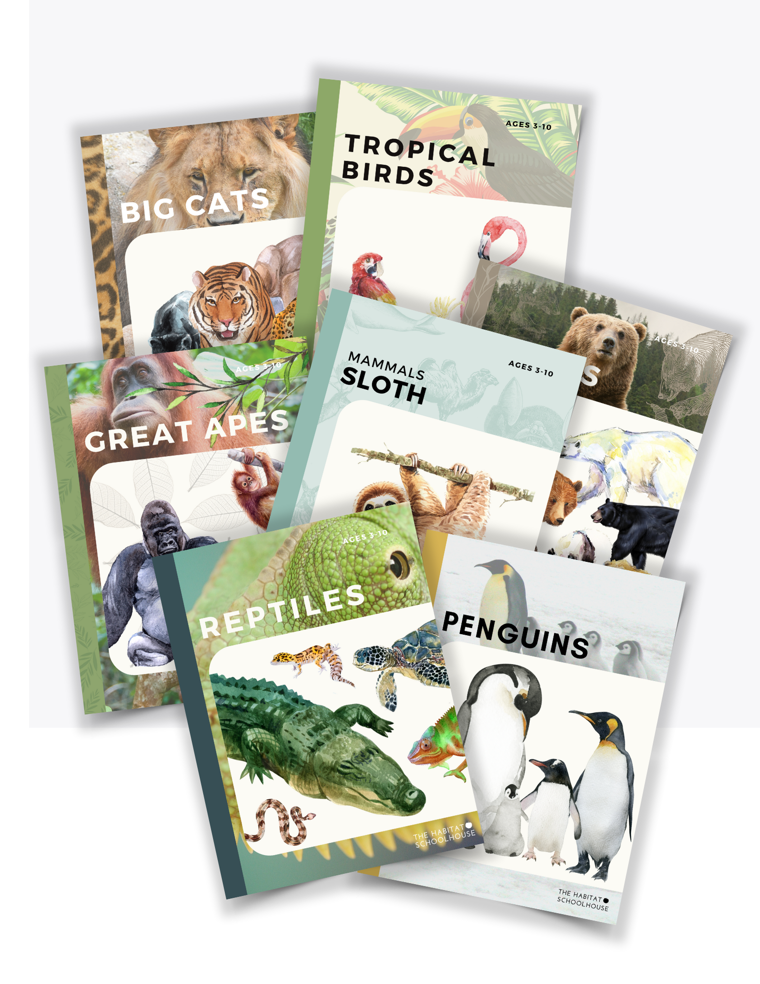 Workbooks & Unit Studies — Habitat Schoolhouse