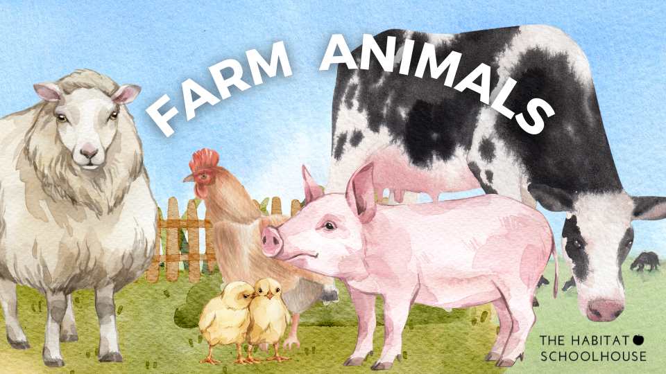 Workbooks & Unit Studies — Habitat Schoolhouse