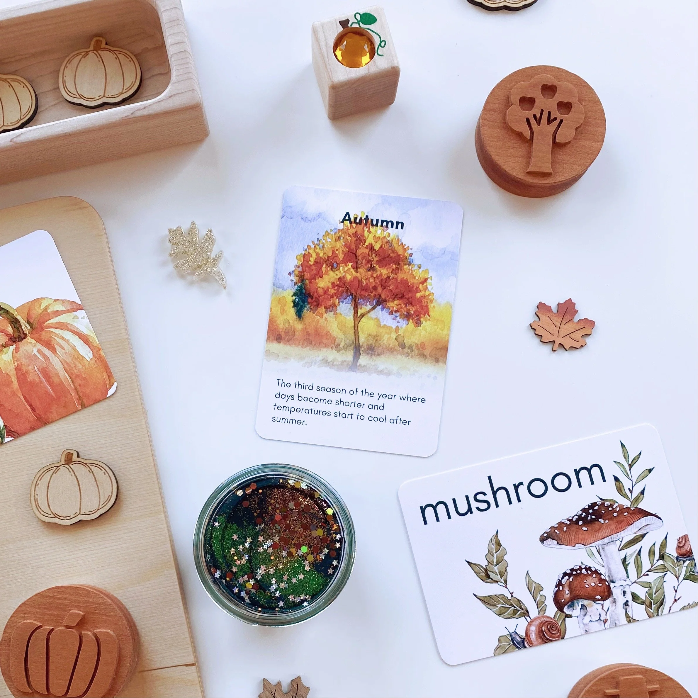 Bug Alphabet Cards (PDF) — Habitat Schoolhouse