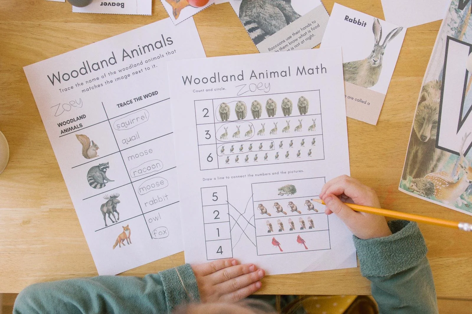 Woodland Animal Friday Freebie (PDF) — Habitat Schoolhouse
