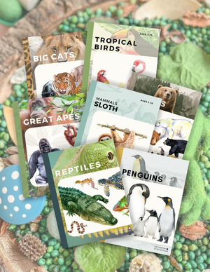 Nature Studies for Kids - Summer Program (Print-At-Home PDF) — Habitat ...