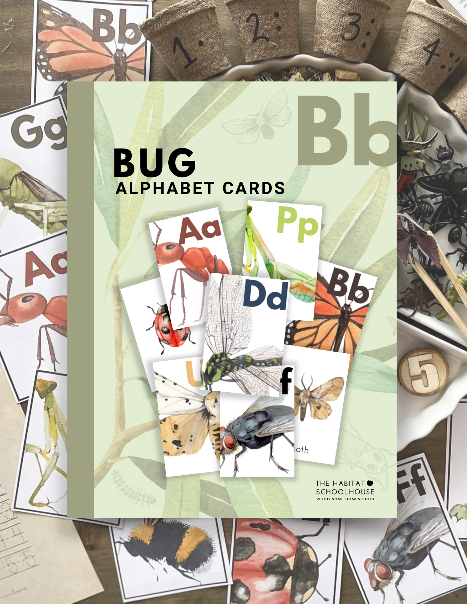 Bug Alphabet Cards (PDF) — Habitat Schoolhouse