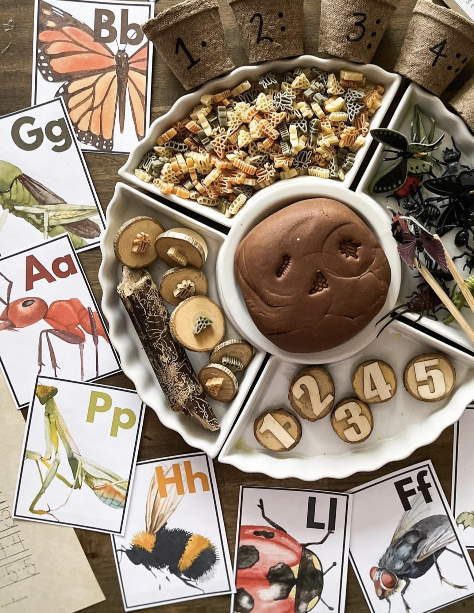 Bug Alphabet Cards (PDF) — Habitat Schoolhouse