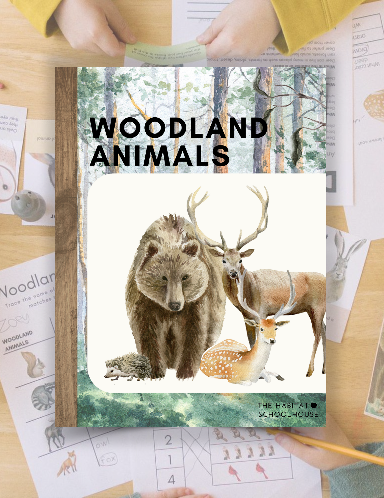 Explore the Forest with Woodland Animals — Habitat Schoolhouse