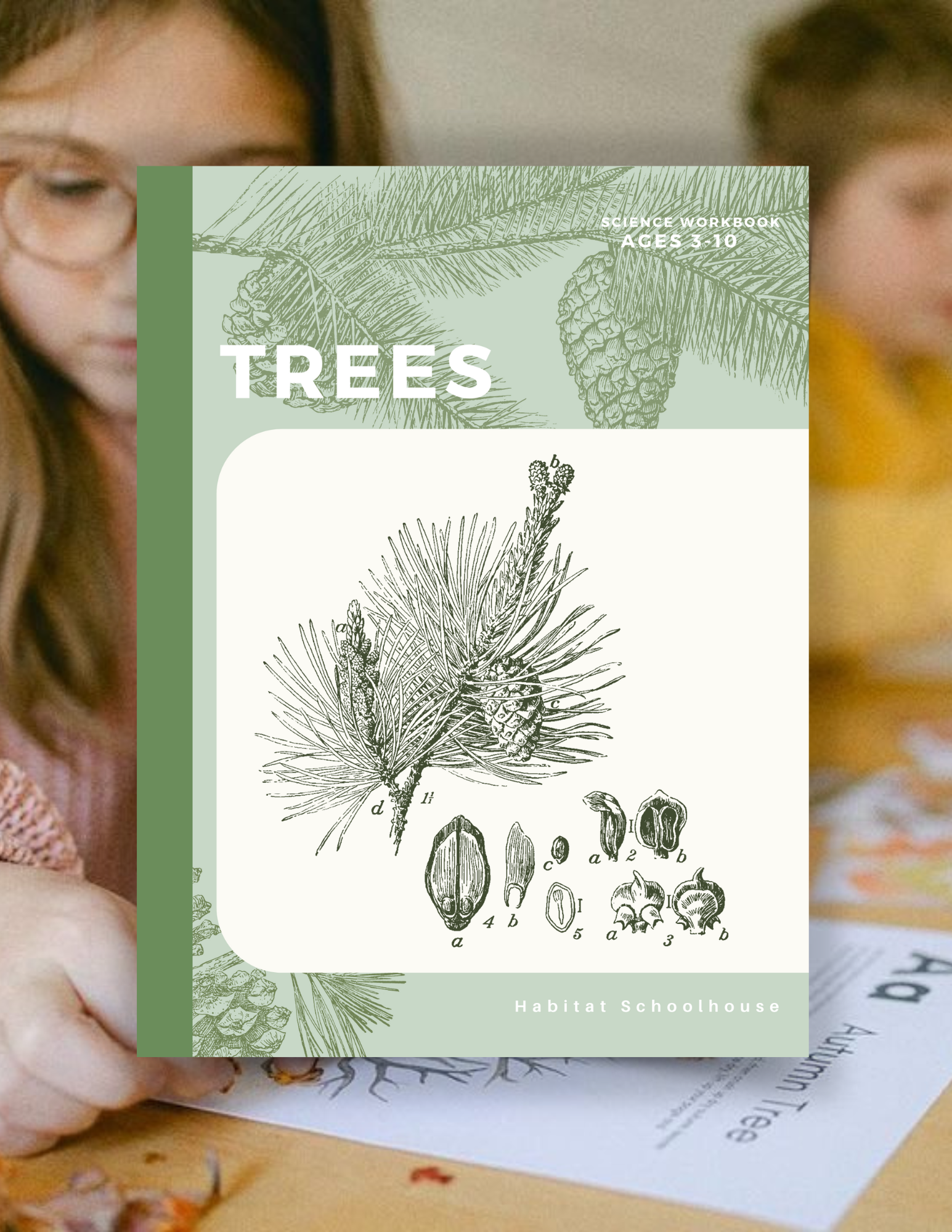 Frogs & Toad Unit Study (Print-at-Home PDF) — Habitat Schoolhouse