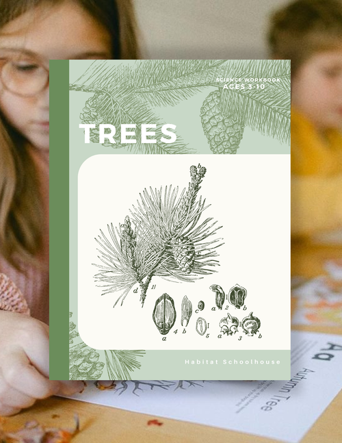 Nature Studies for Kids - Summer Program (Print-At-Home PDF) — Habitat ...