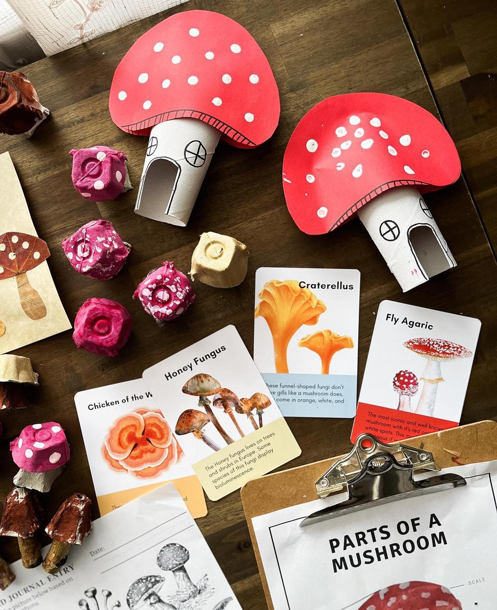 Bug Alphabet Cards (PDF) — Habitat Schoolhouse