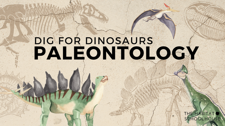 Dig for Dinos Just Like a Paleontologist — Habitat Schoolhouse