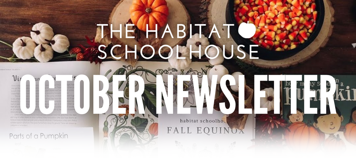 October Newsletter — Habitat Schoolhouse