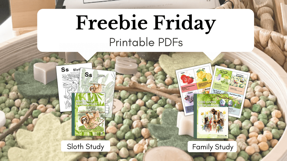 Discover Our Weekly Freebie Friday: Nature and Science Printables for ...