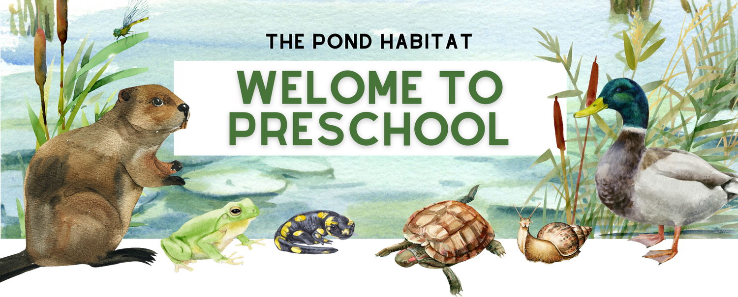 Preschool Curriculum (Print-At-Home PDF) — Habitat Schoolhouse