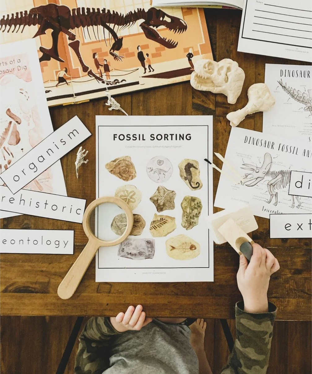 Dig for Dinos Just Like a Paleontologist — Habitat Schoolhouse