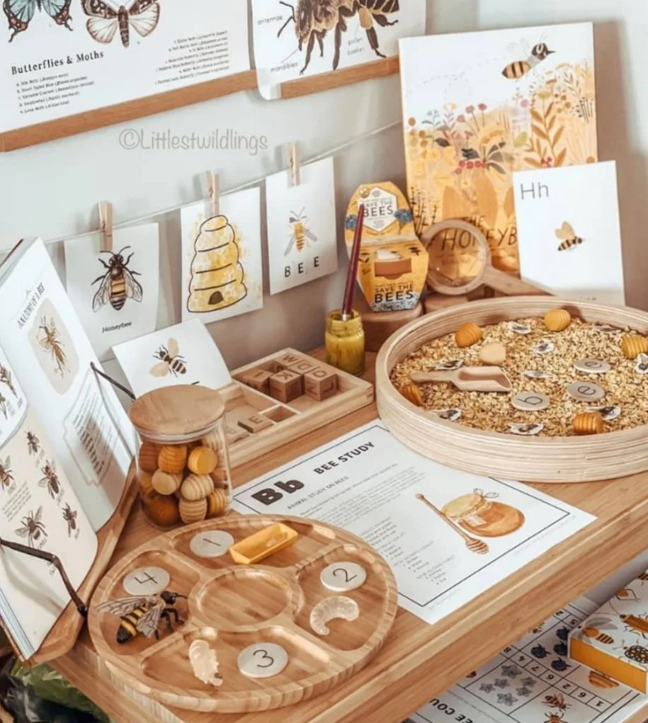 Preschool Curriculum (Print-At-Home PDF) — Habitat Schoolhouse