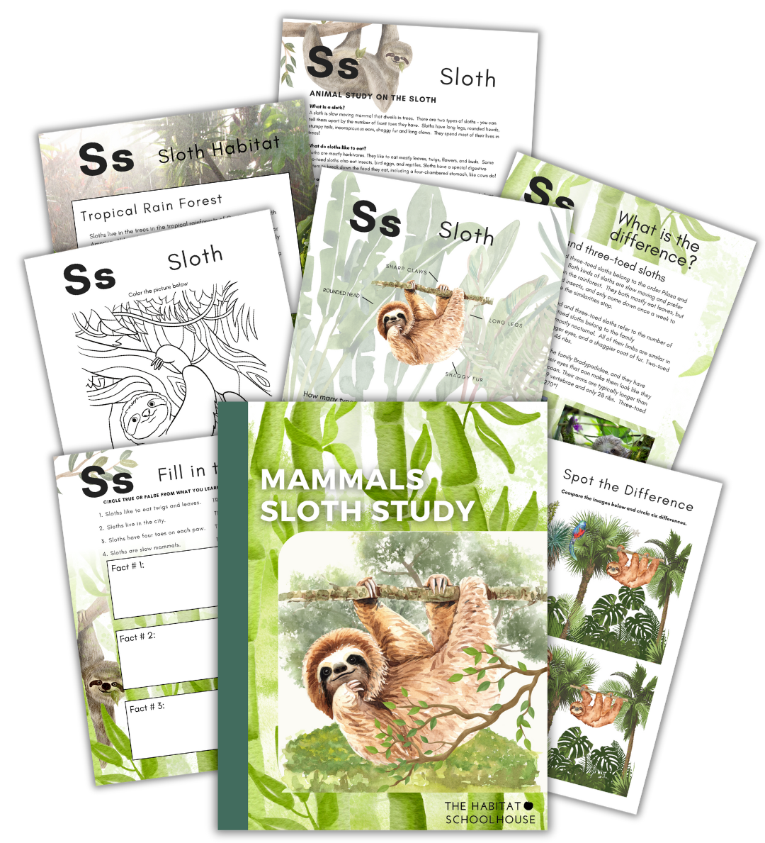 Discover Our Weekly Freebie Friday: Nature and Science Printables for ...