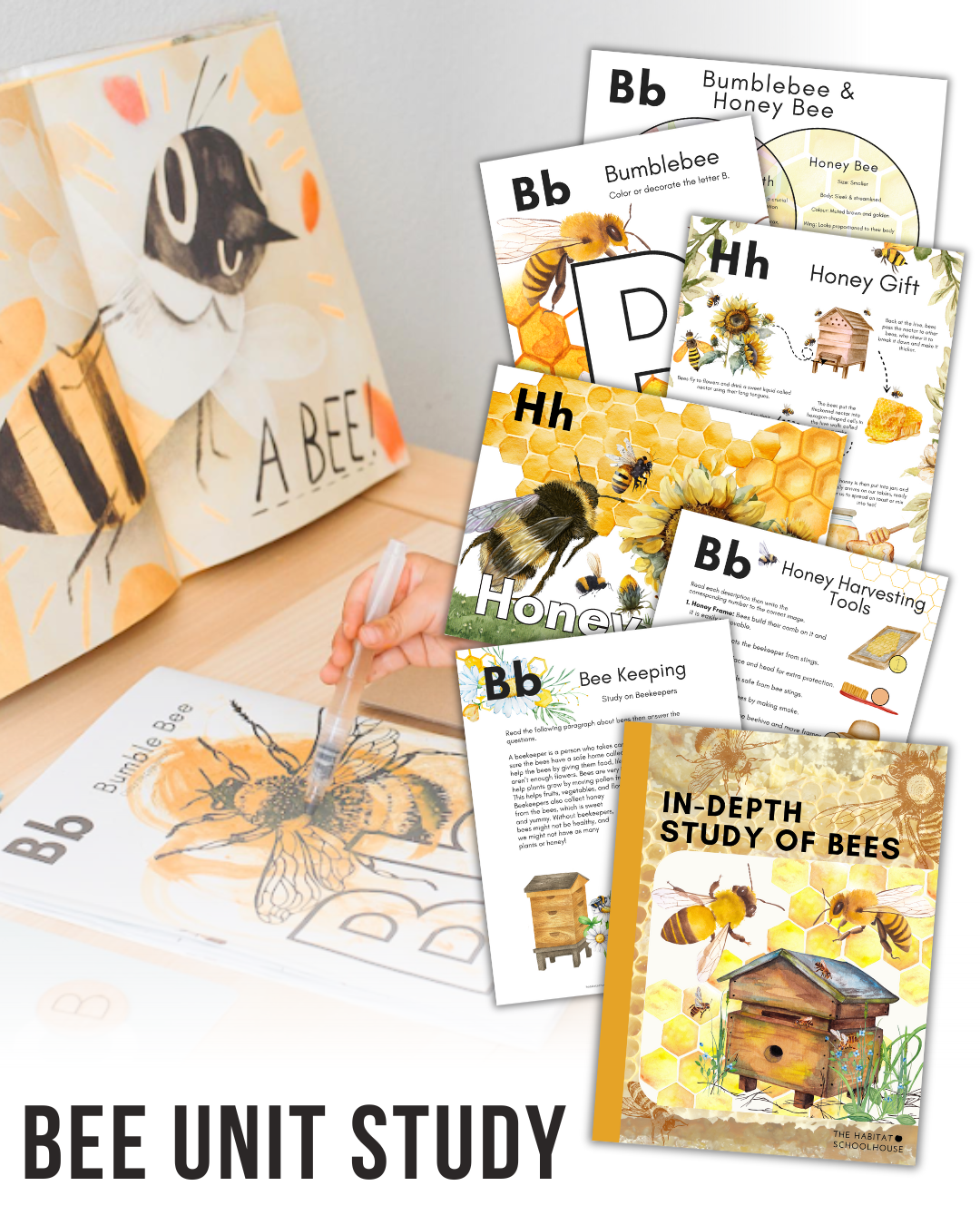 Honey Bee vs Bumble Bee: Explore the Wonderful World of Bees — Habitat ...