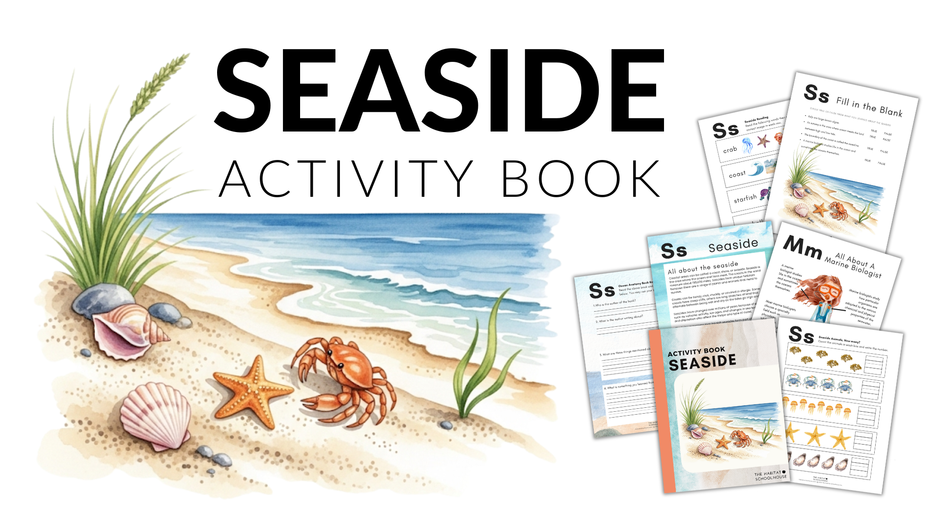 Explore the Seaside: Dive into Coastal Science — Habitat Schoolhouse